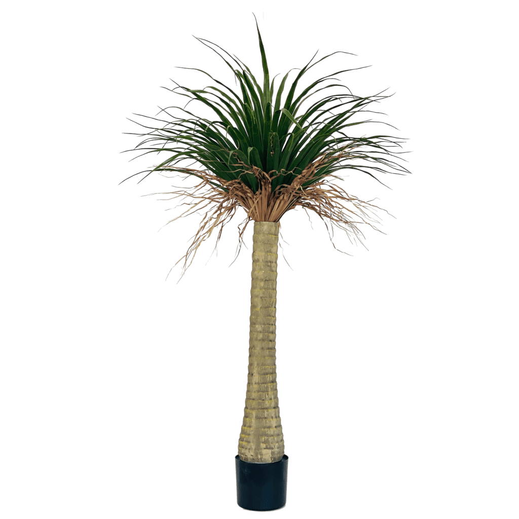 130cm Artificial Big Trunk Dragon Yucca – Edenko Thailand