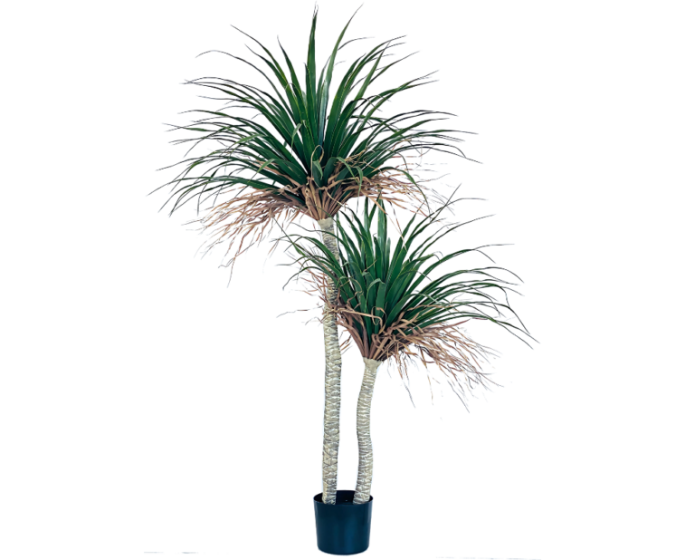 - YUCCA - Artificial Plant 2 Trunks 180cm. - Edenko Thailand